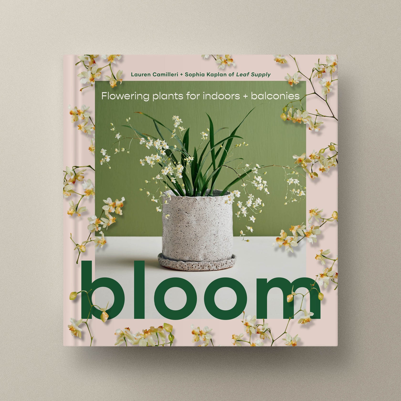 Bloom – Leaf Supply