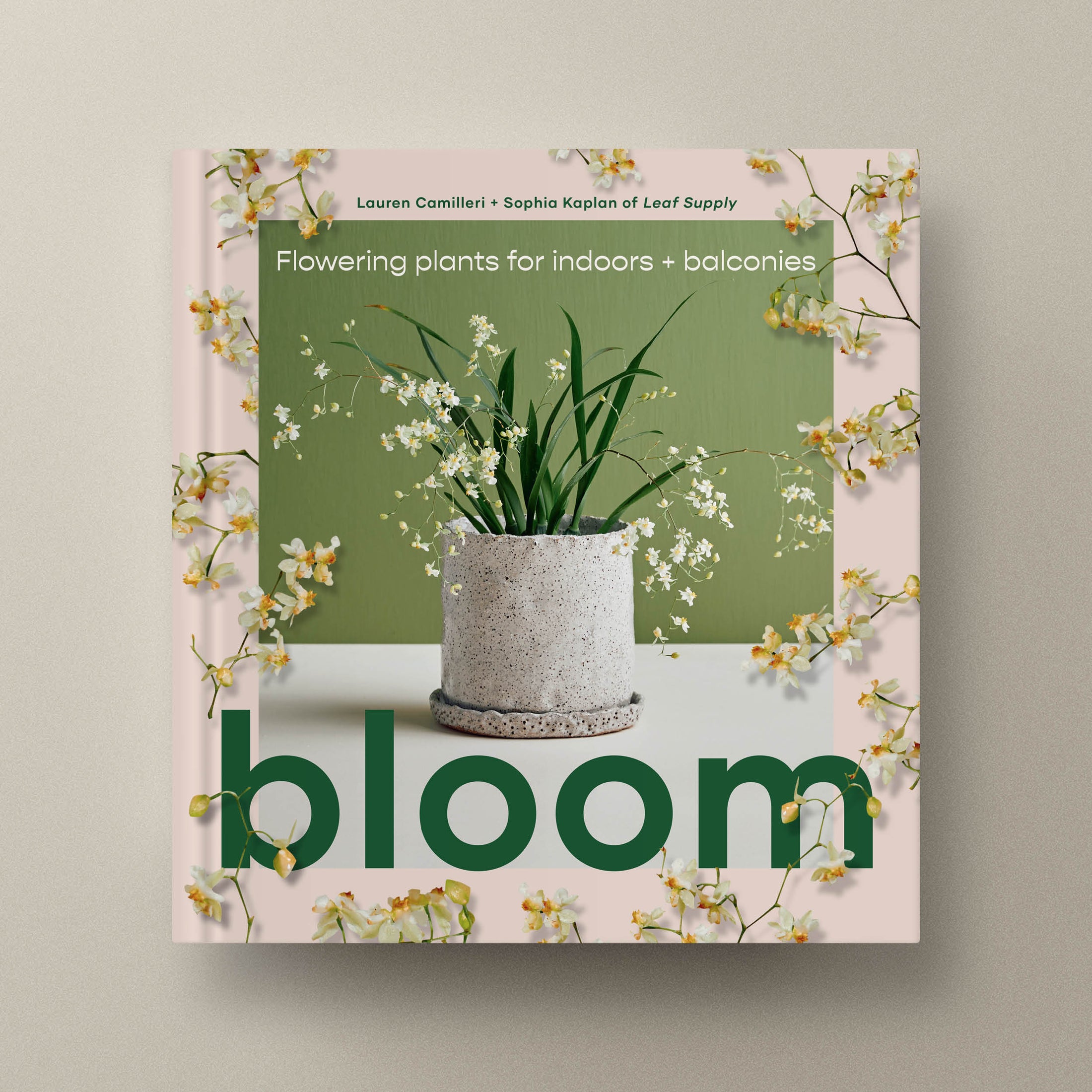 Bloom – Leaf Supply